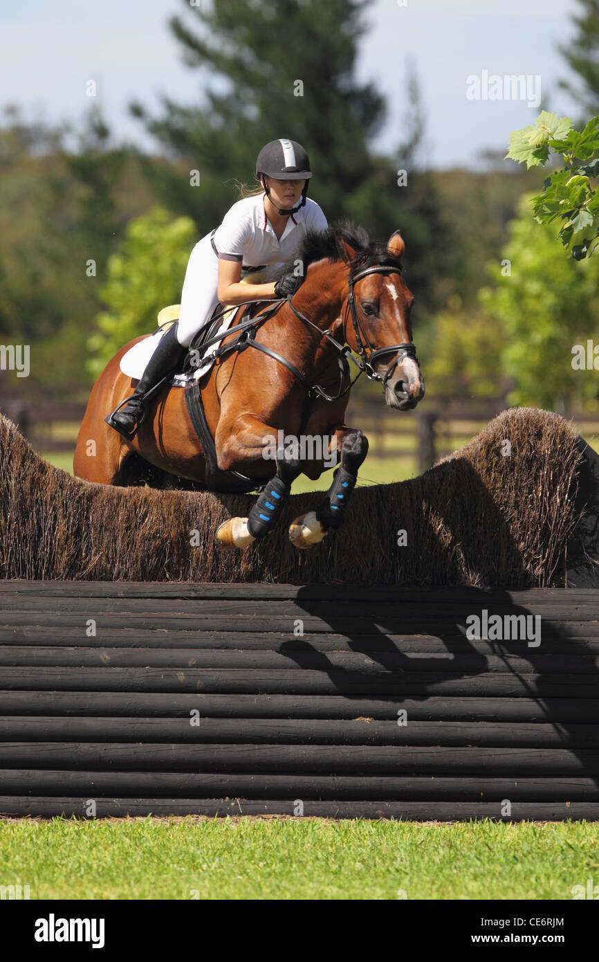 Young Woman Horseback Rider Jumping Hurdle Stock Photo - Alamy