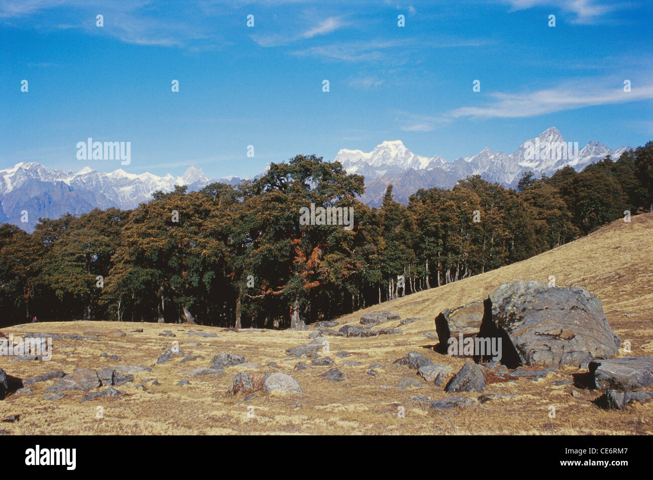 Gorsan top meadows, Auli, Himalayan ski resort, hill station, Nanda ...