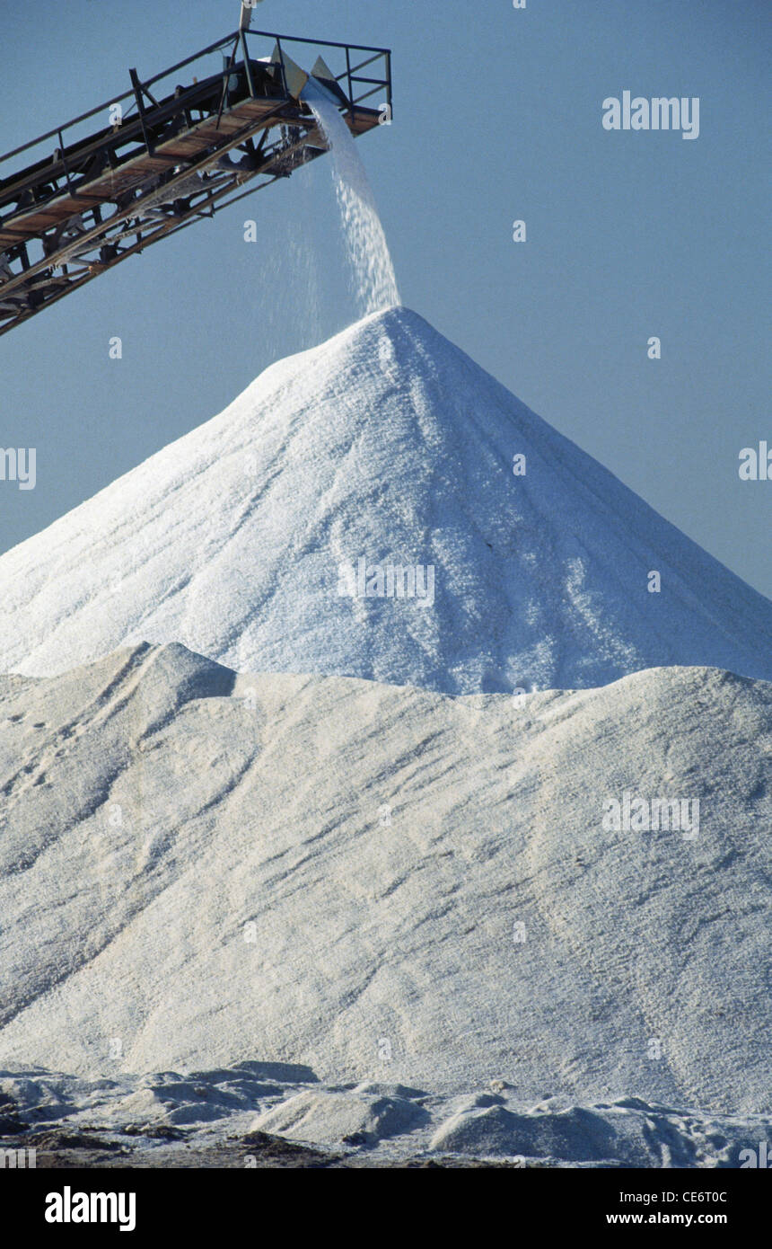 Salt dropping from conveyor belt in salt pan ; india ; asia Stock Photo ...