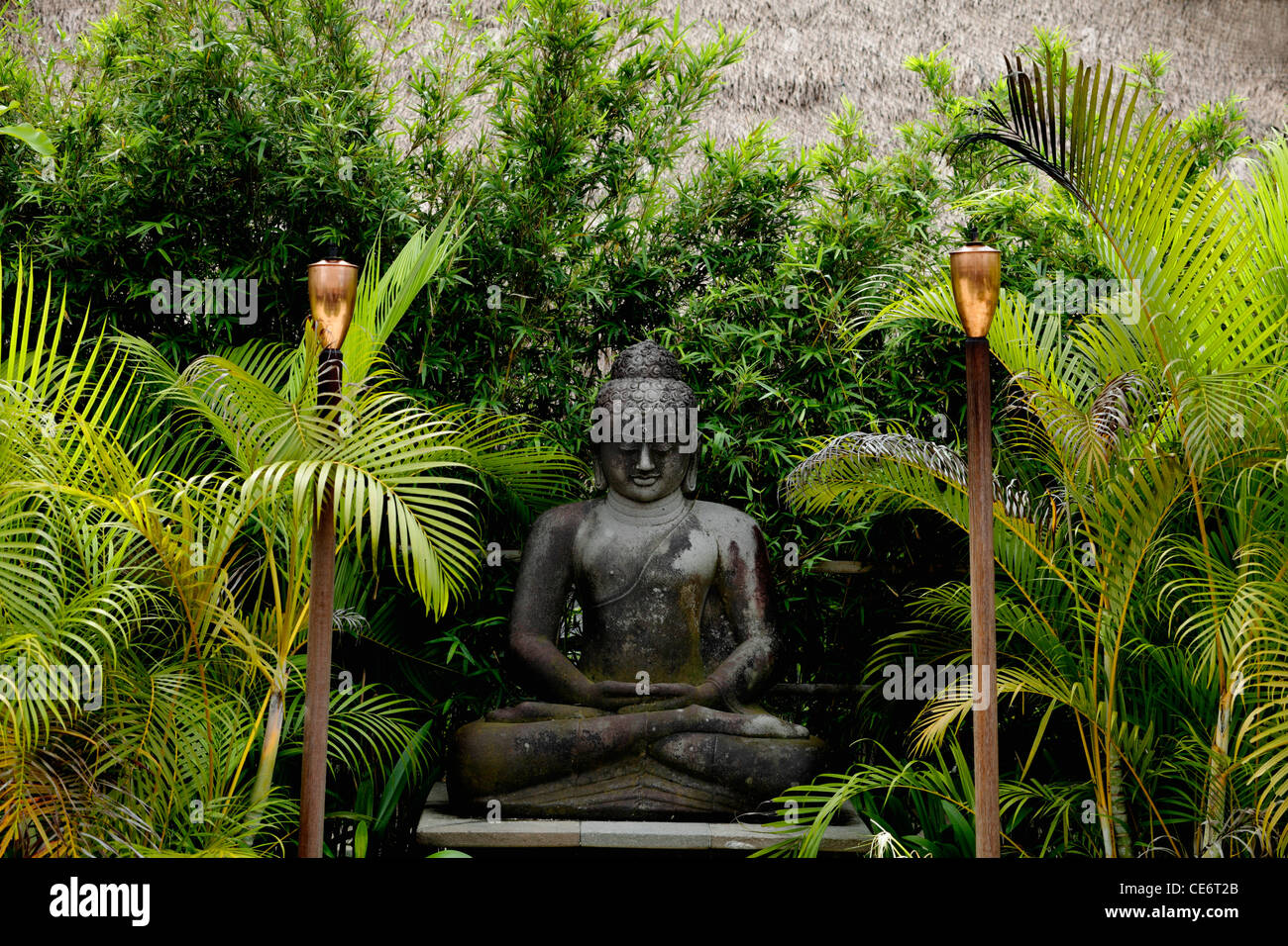stone buddha statue surrounded by palm trees Stock Photo - Alamy