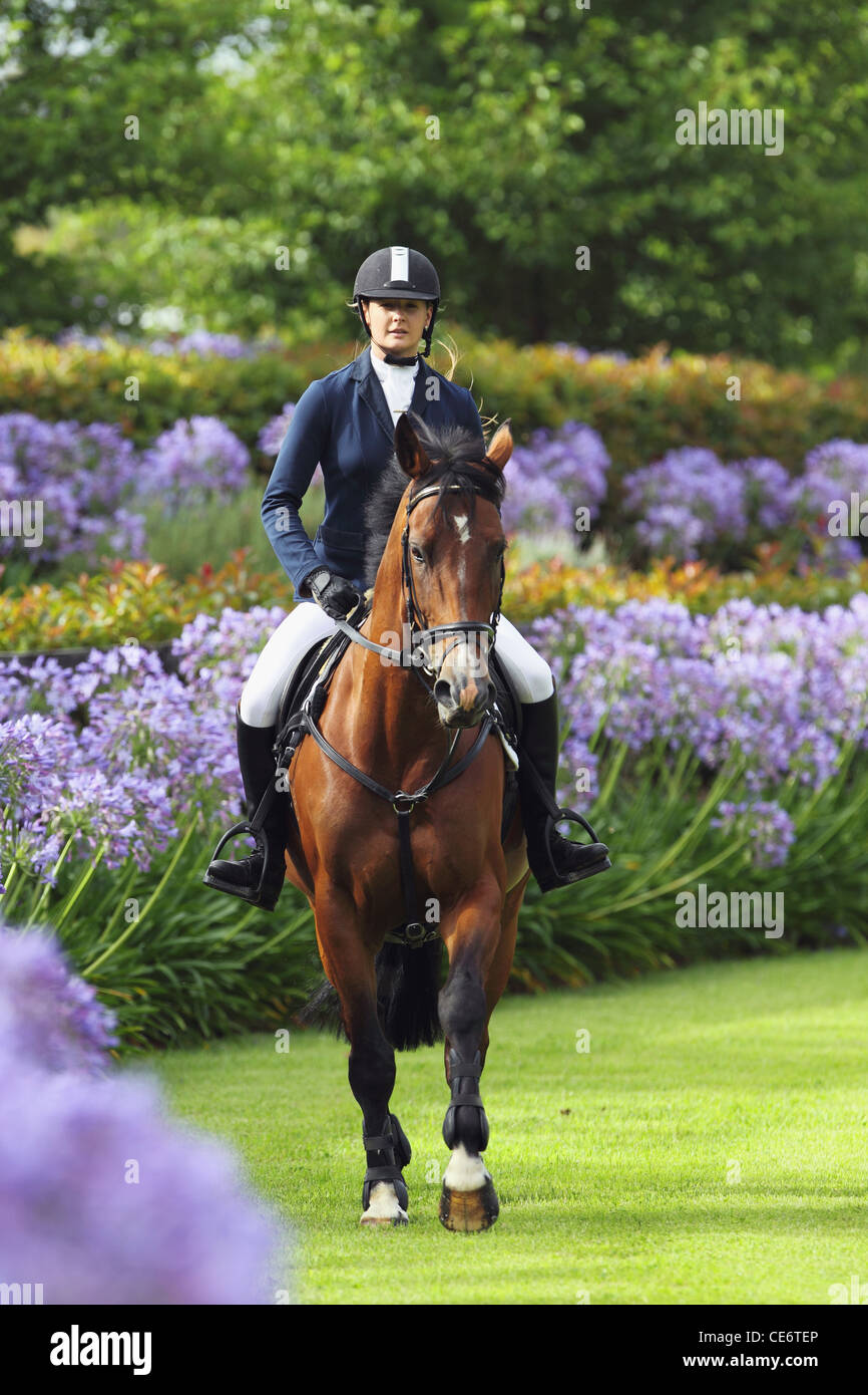 Young Woman Horseback Rider Stock Photo - Alamy