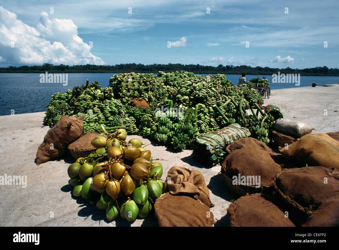 Havelock jetty hi-res stock photography and images - Alamy