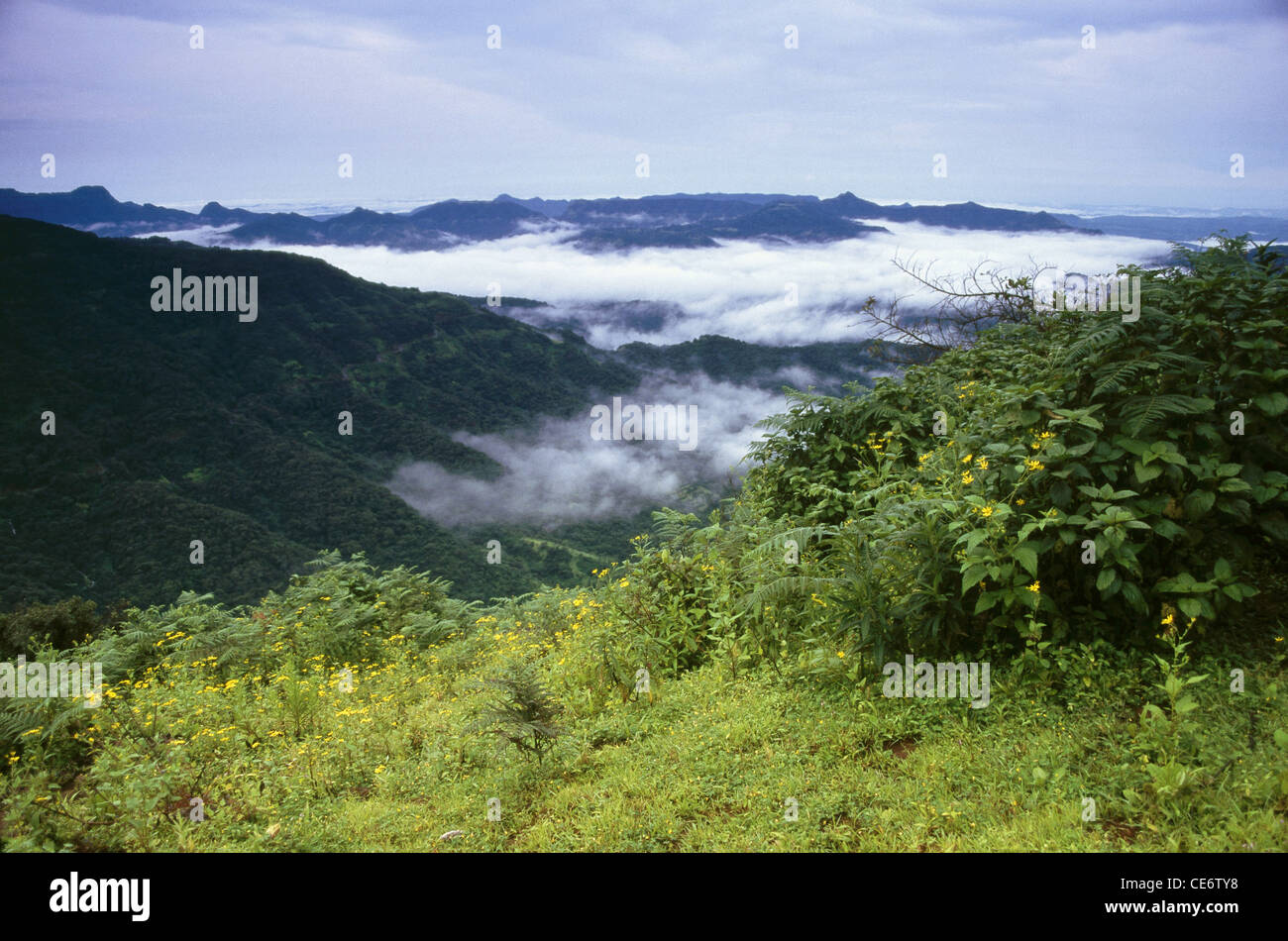 Lodwick point hi-res stock photography and images - Alamy