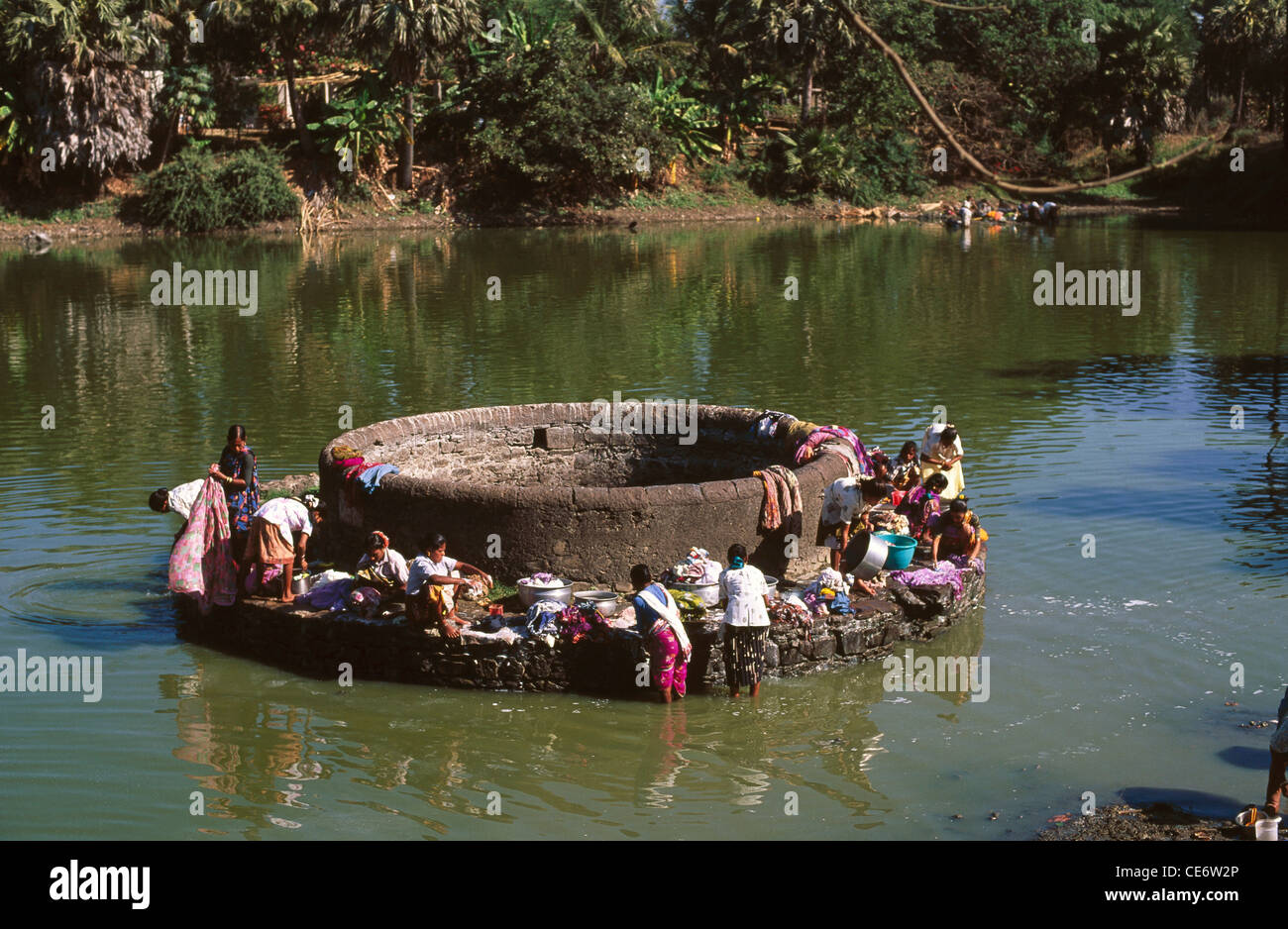 VHM 85902 : women washing clothes at village well in pond manori mumbai ...