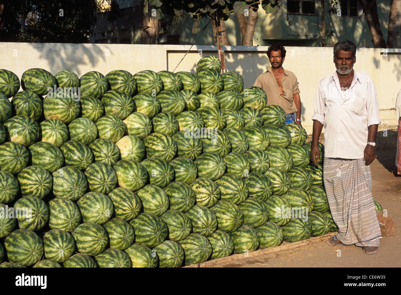 Watermelon fruit seller vendor shop ; Kerala ; India ; Asia Stock Photo ...