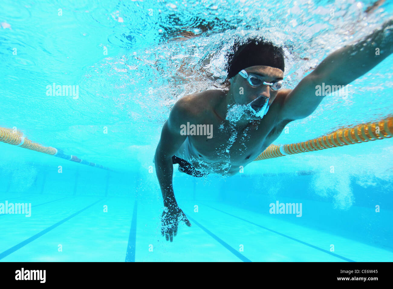 Man Swimming in Pool, Underwater Stock Photo - Alamy