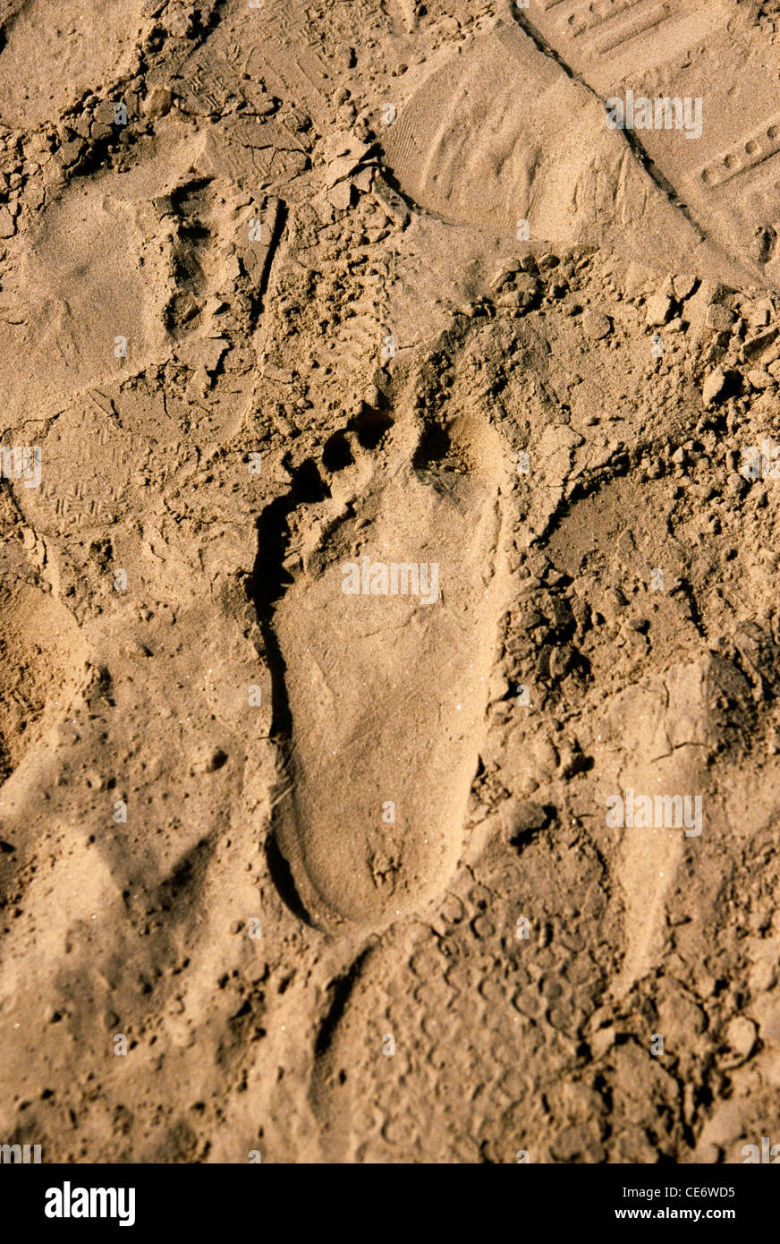 Footsteps in sand Stock Photo - Alamy