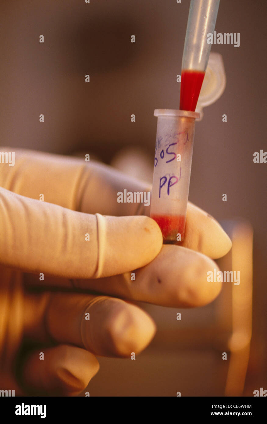 Indian pathology laboratory ; india ; asia Stock Photo - Alamy