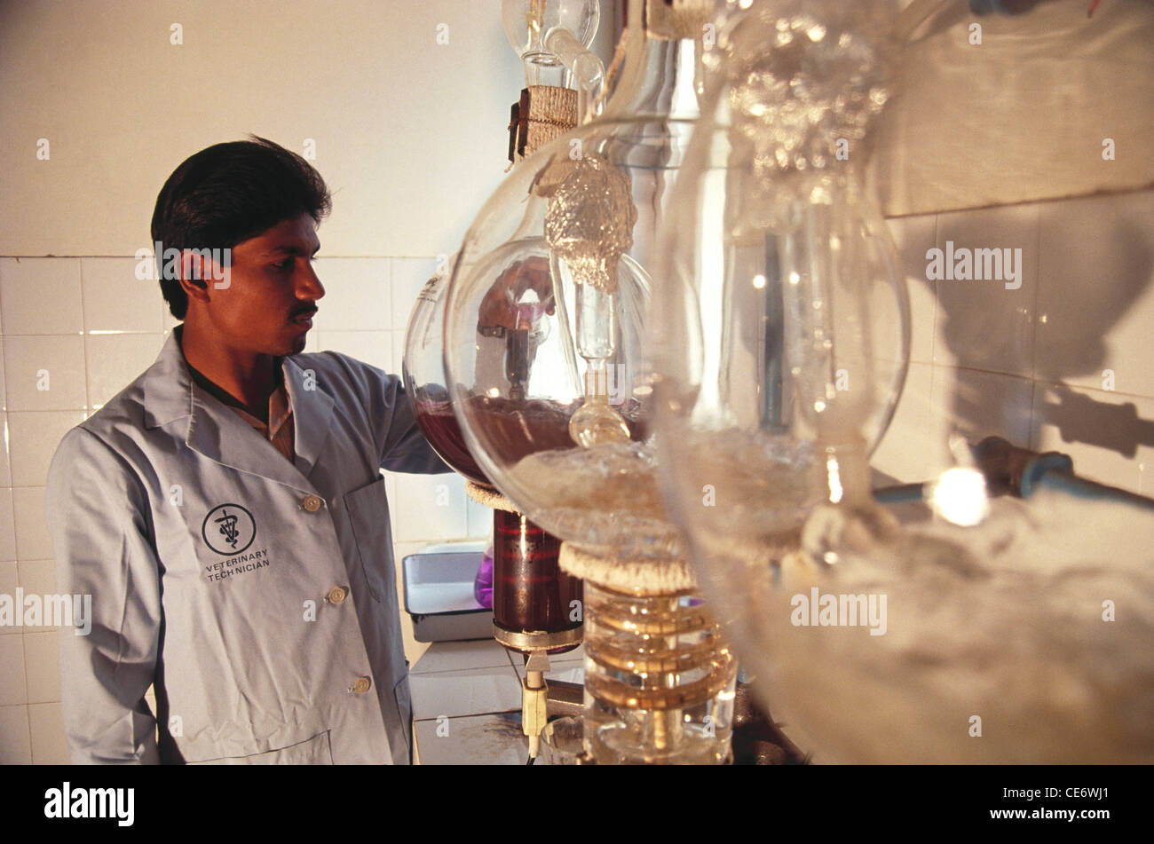 Indian man doing research in laboratory ; india ; asia Stock Photo - Alamy