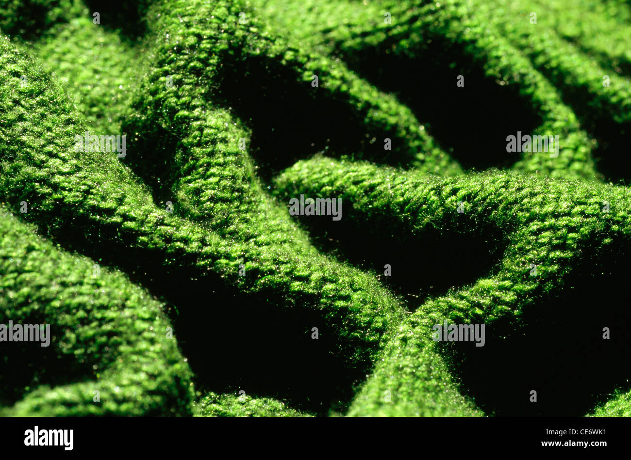 Woollen cloth hi-res stock photography and images - Alamy