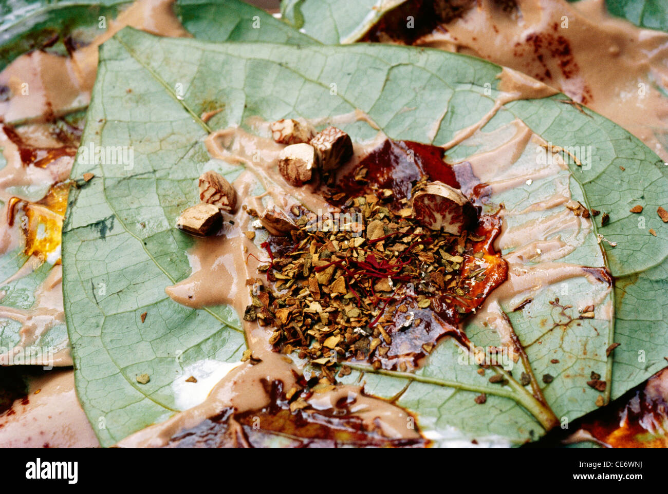 Beetle nut hi-res stock photography and images - Alamy