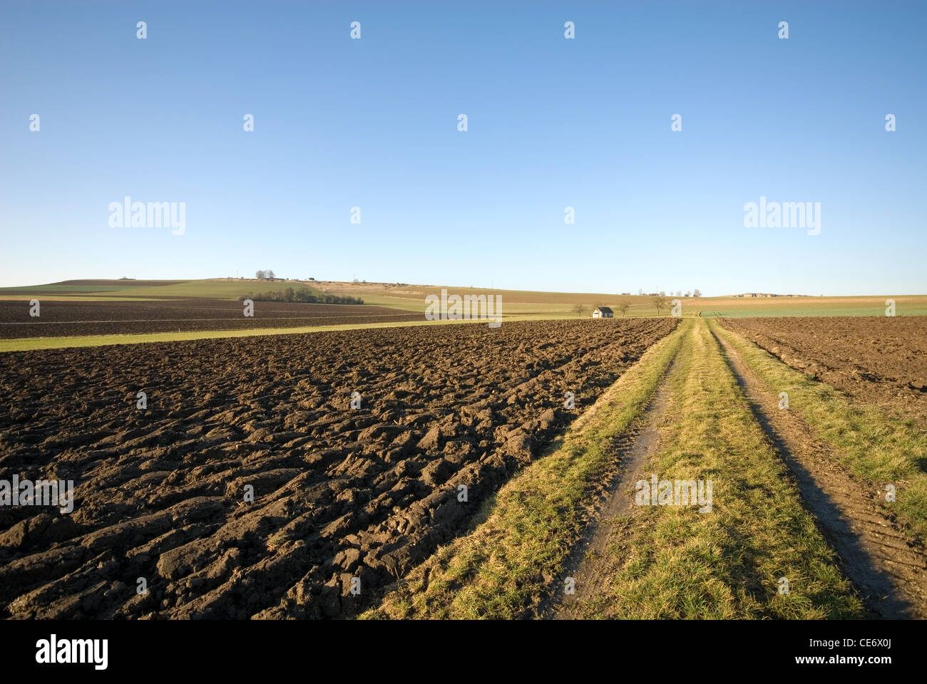 Freshly cultivated farmland, Germany Stock Photo - Alamy