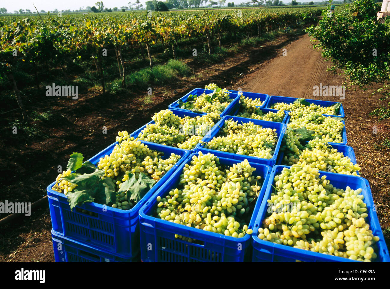 Ups containers hi-res stock photography and images - Alamy
