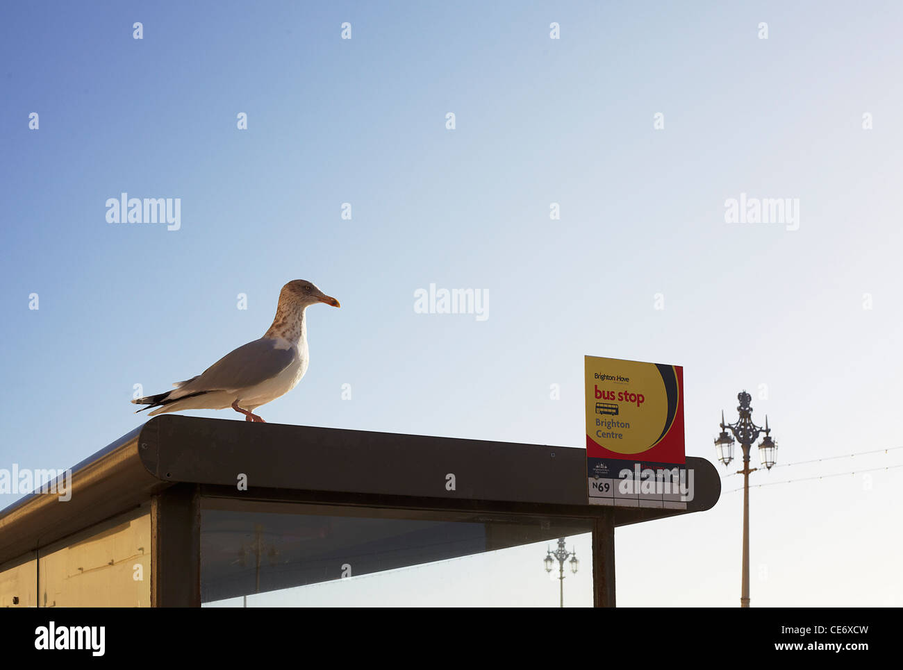 Brighton bus stop hi-res stock photography and images - Alamy
