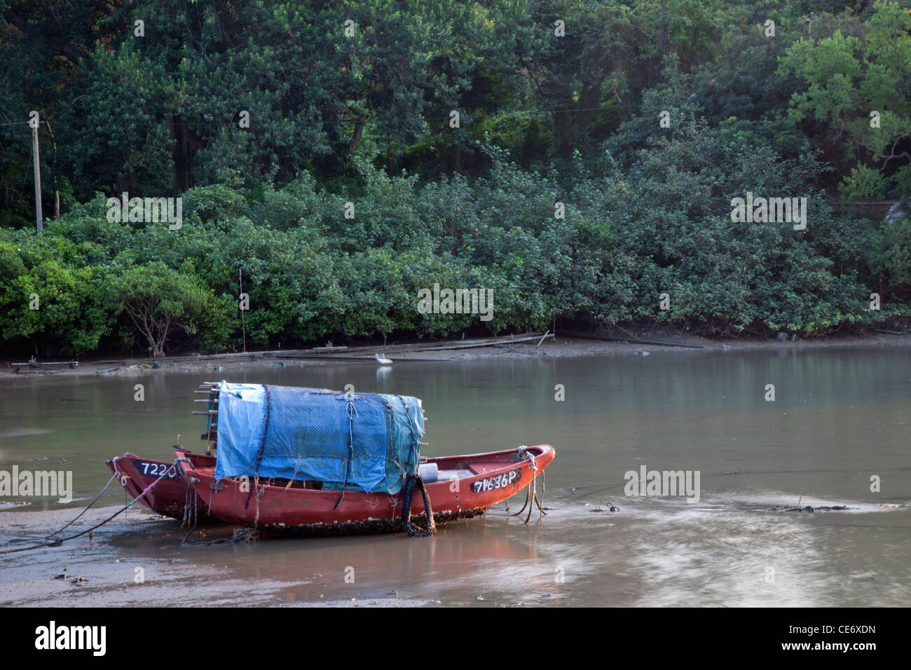 Chinese sampan boat hi-res stock photography and images - Alamy