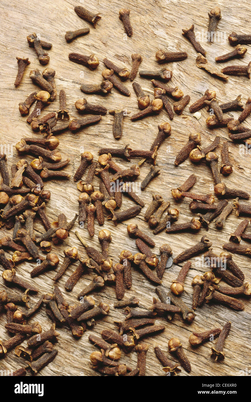 cloves syzygium aromaticum Stock Photo - Alamy
