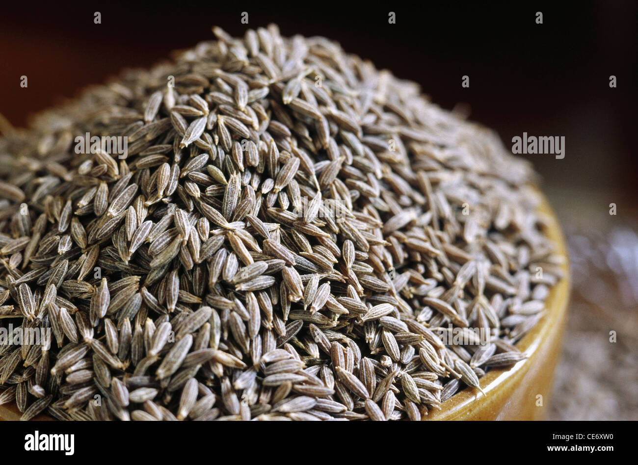 Cuminum Cyminum High Resolution Stock Photography and Images - Alamy