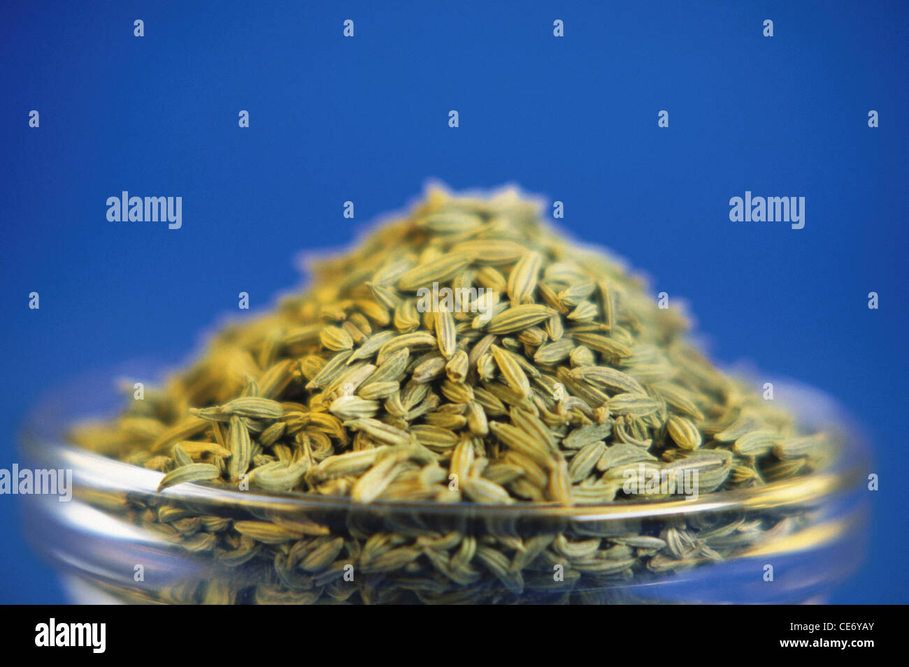 Aniseeds hi-res stock photography and images - Alamy