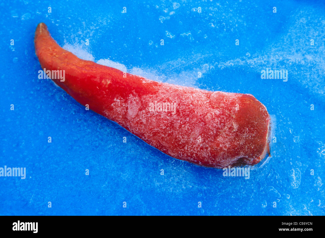 Cold storage india hi-res stock photography and images - Alamy