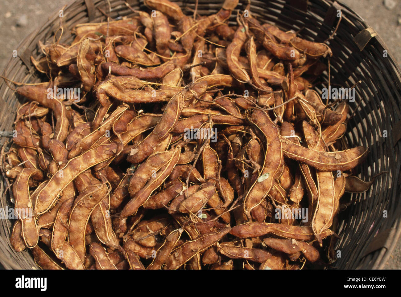 AAD 83728 : spices dry tamarind imli herb pods in cane basket Stock ...