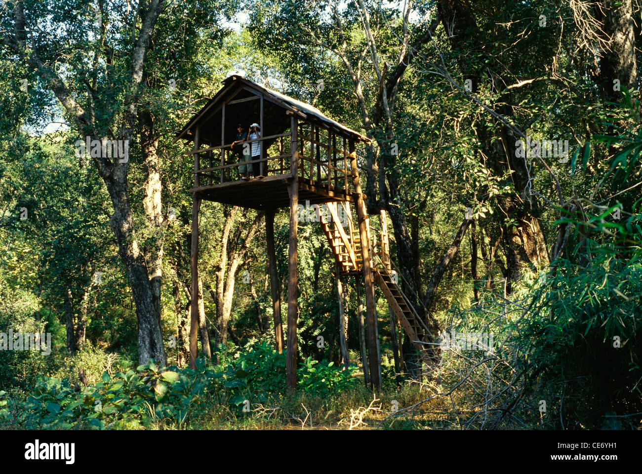 Wood machan hi-res stock photography and images - Alamy