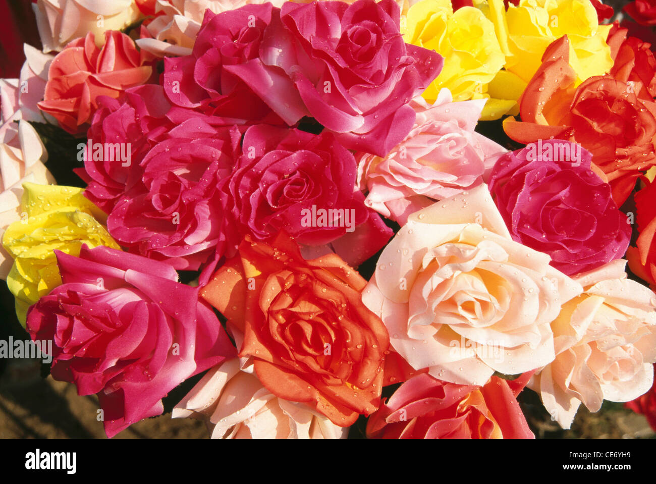 Festoons of flowers hi-res stock photography and images - Alamy