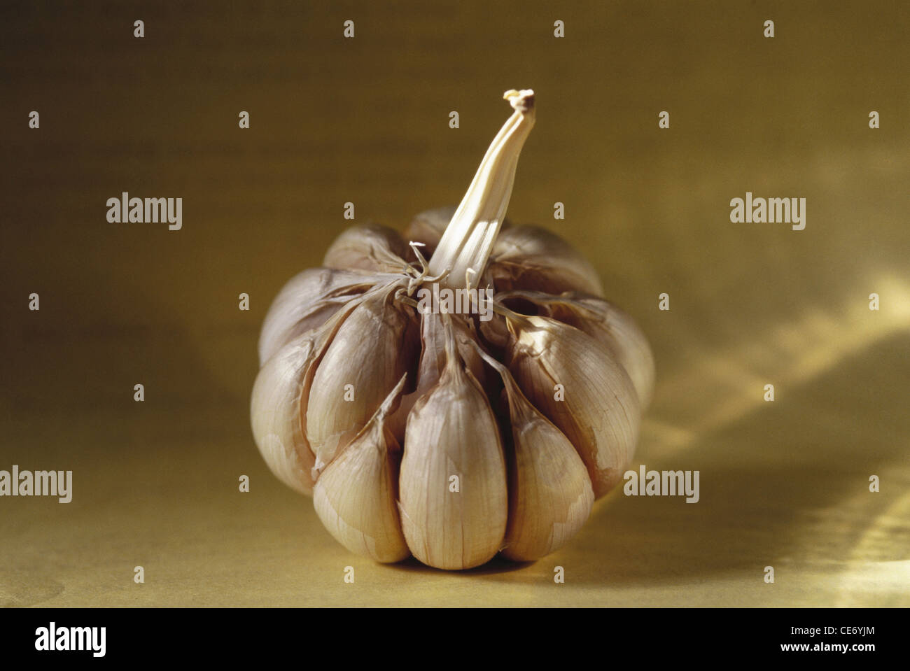Knob of garlic hi-res stock photography and images - Alamy
