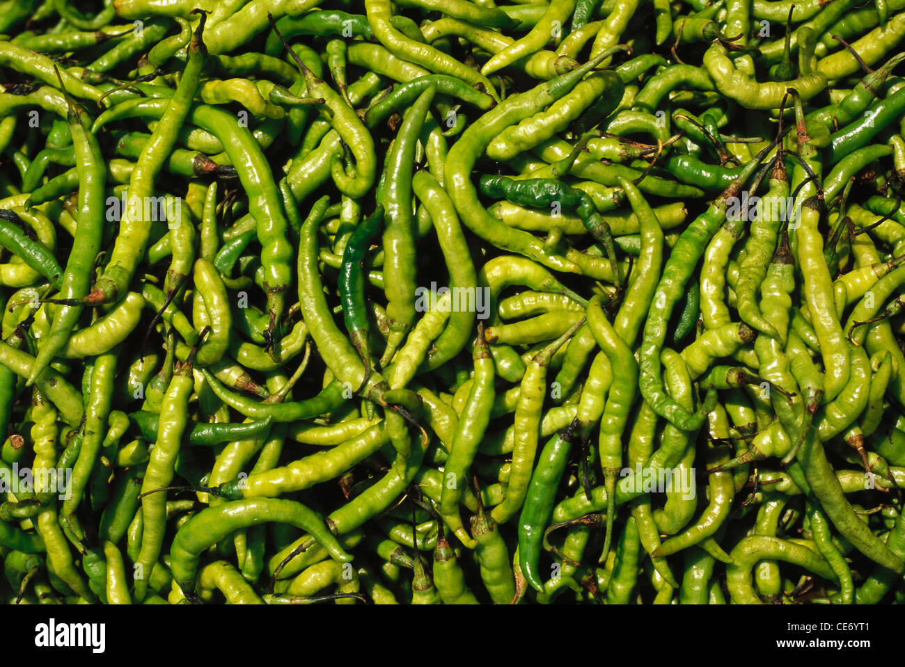 Chillies abstract background hi-res stock photography and images - Alamy