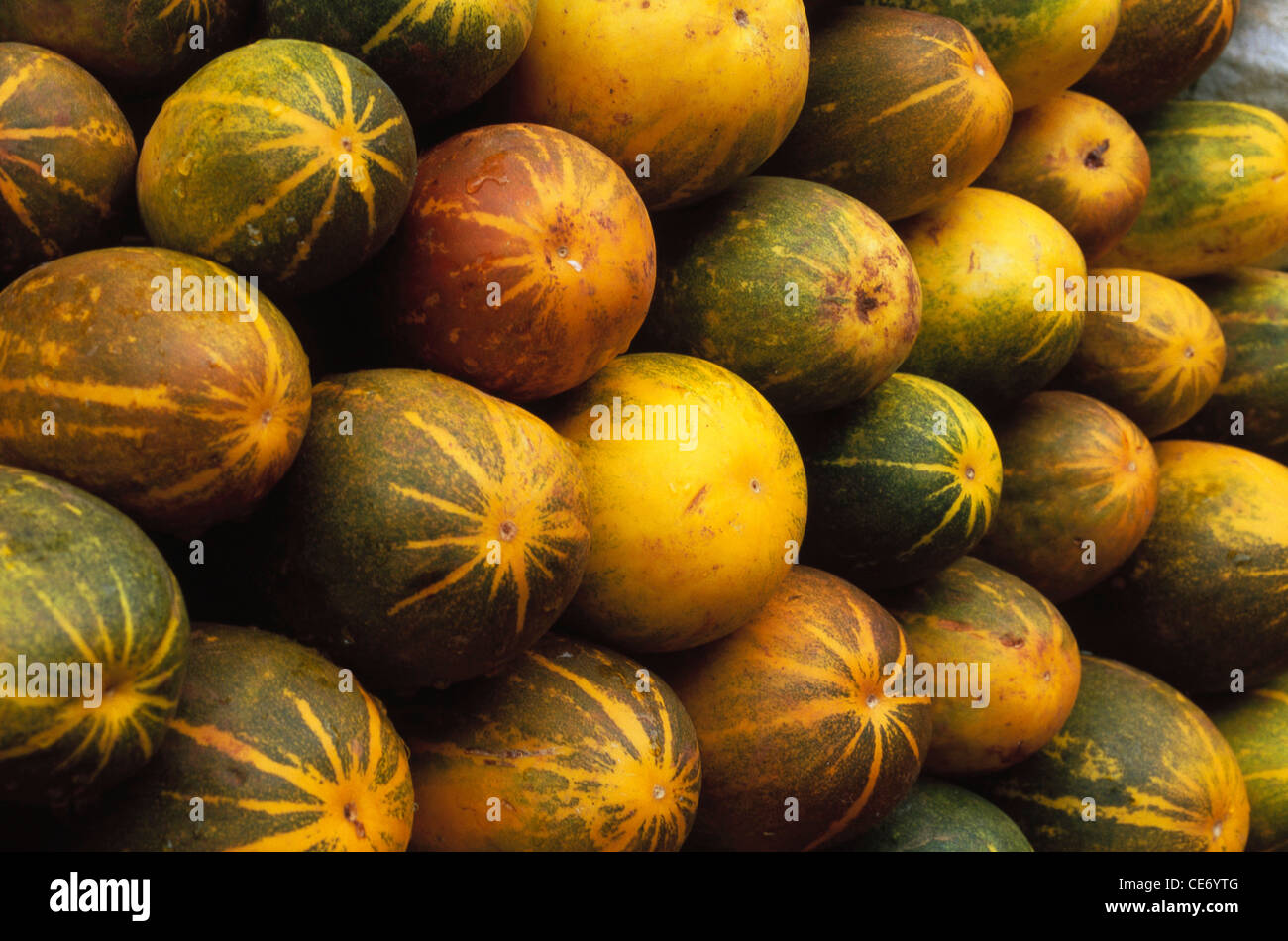 Vegetable cucumber ; abstract ; background ; india ; asia Stock Photo ...