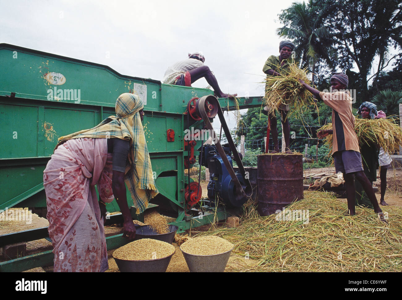 Thresher threshing machine hi-res stock photography and images - Alamy