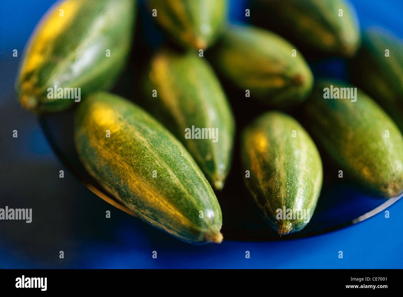 Vegetable pear gourds on blue background Stock Photo - Alamy
