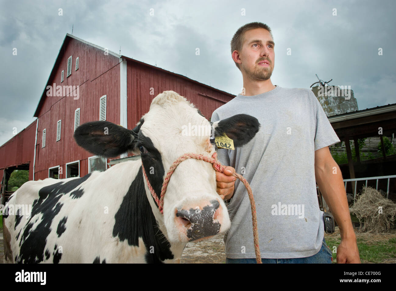 Man cow farm hi-res stock photography and images - Alamy