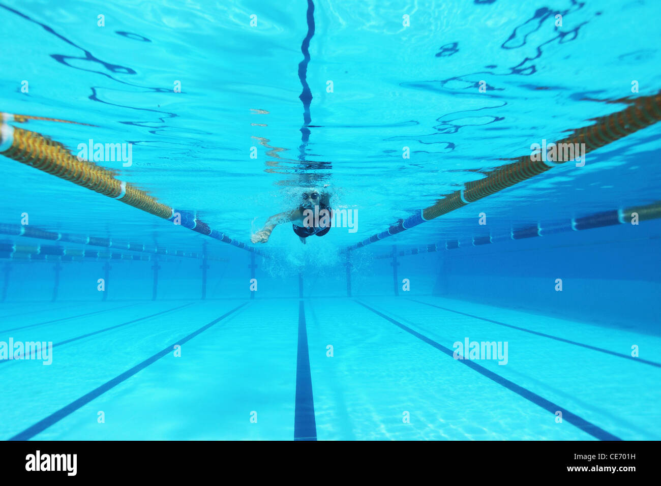 Woman Swimming in Pool, Underwater Stock Photo - Alamy