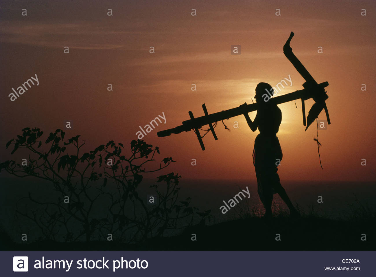 Indian Farmer Silhouette Plough India Stock Photos & Indian Farmer ...