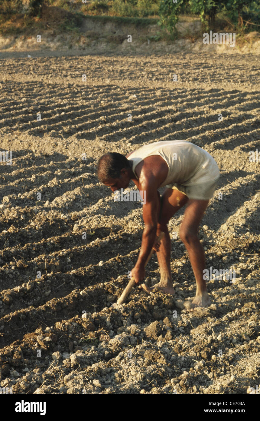 Man ploughing field hi-res stock photography and images - Alamy
