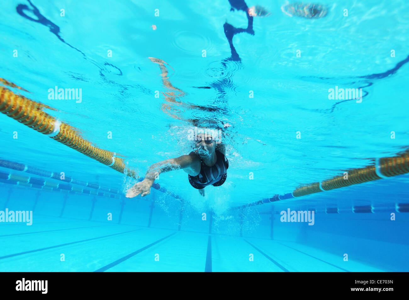 Woman Swimming in Pool, Underwater Stock Photo - Alamy