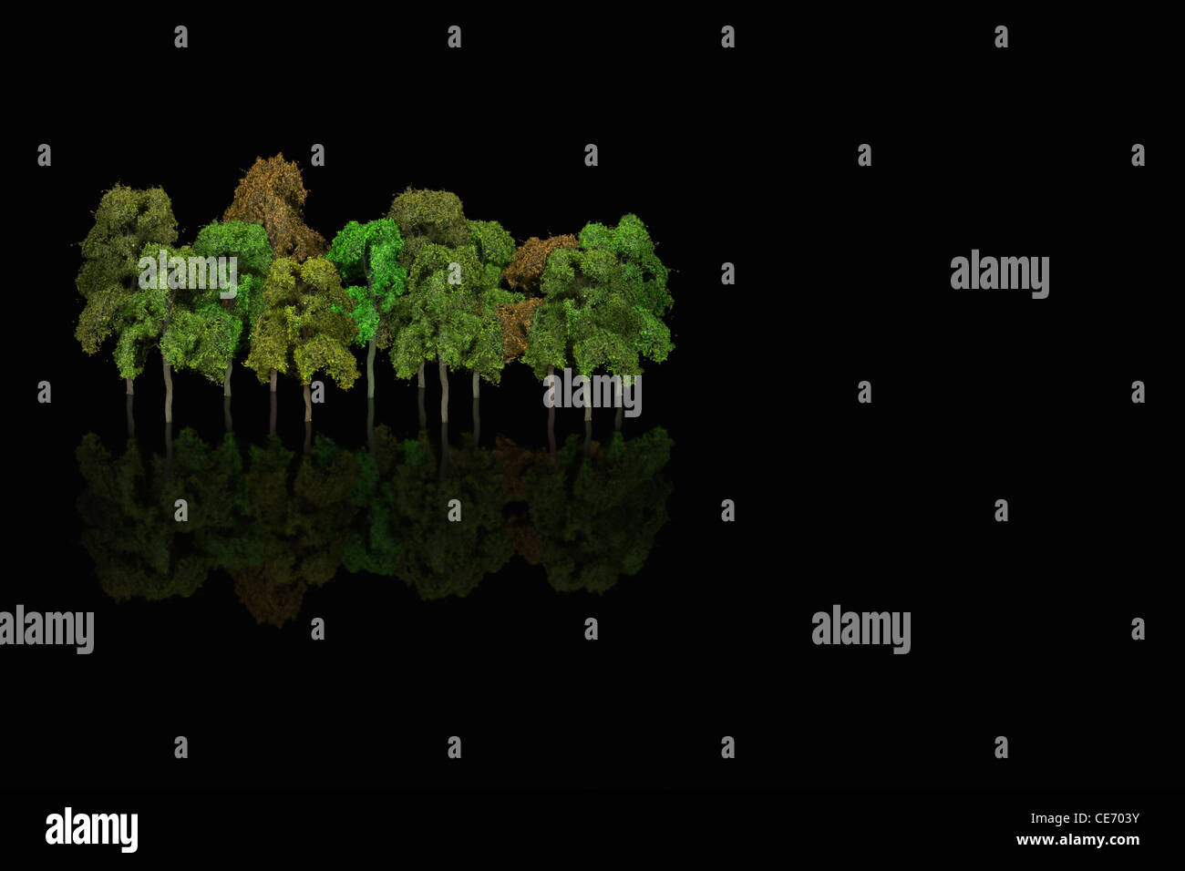 group of scale model Ash trees Stock Photo - Alamy