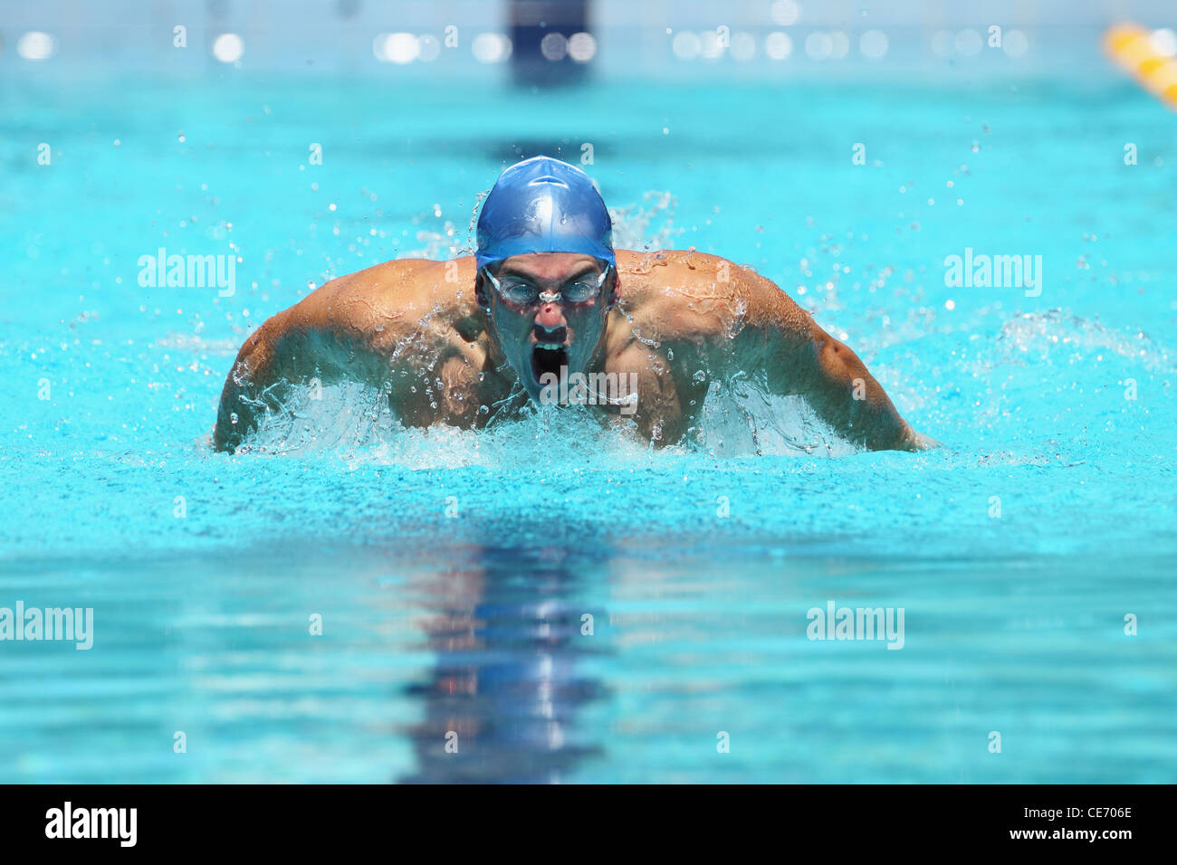 Young Man Swimming Butterfly Stock Photo - Alamy