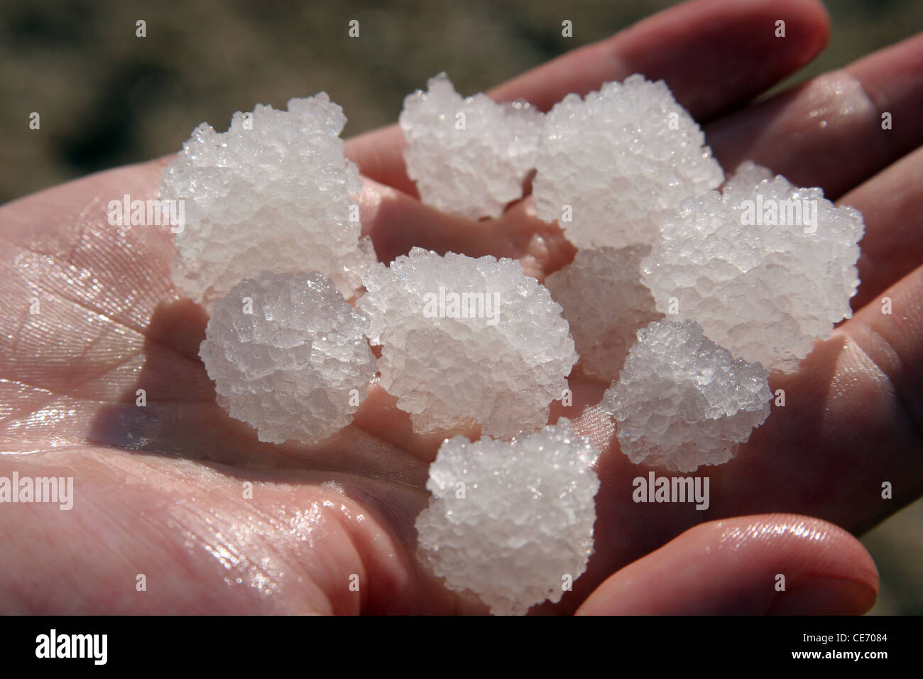 The big crystal of salt of Dead Sea Stock Photo - Alamy