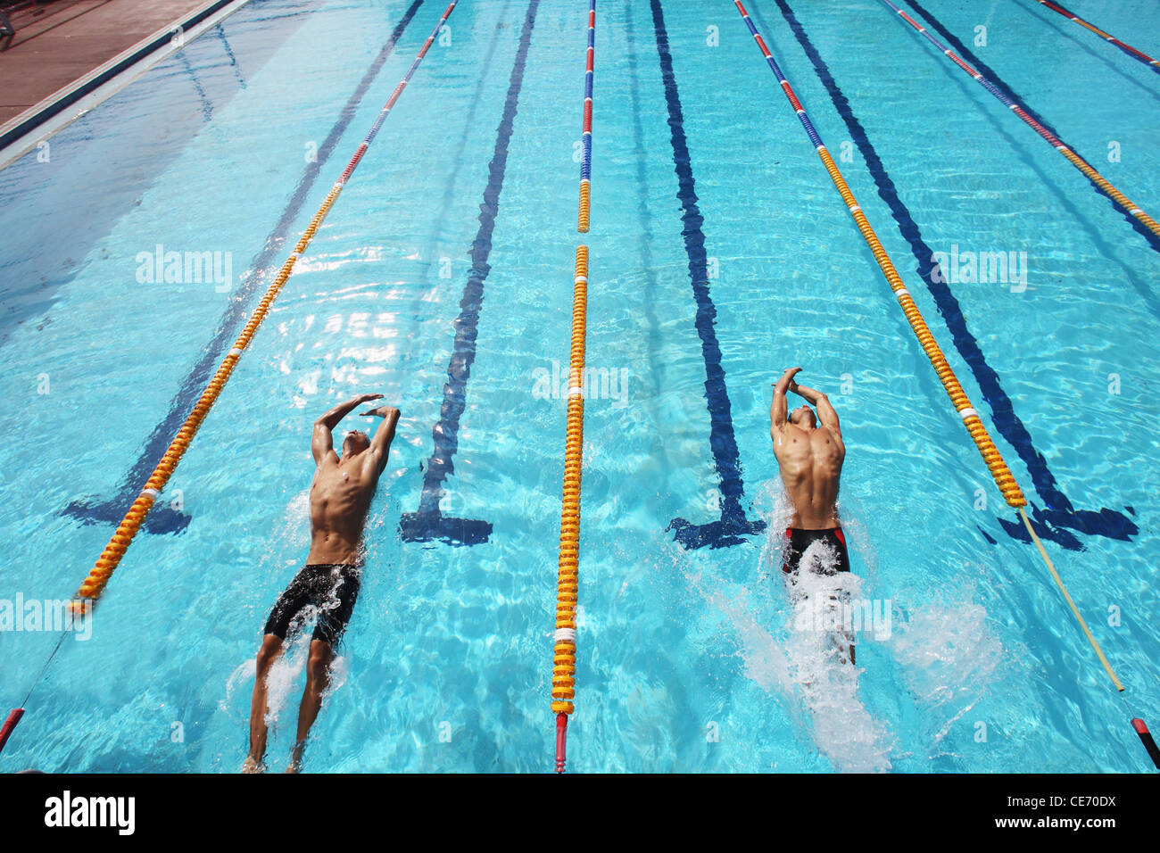 Swimmers Competing in Pool Stock Photo - Alamy