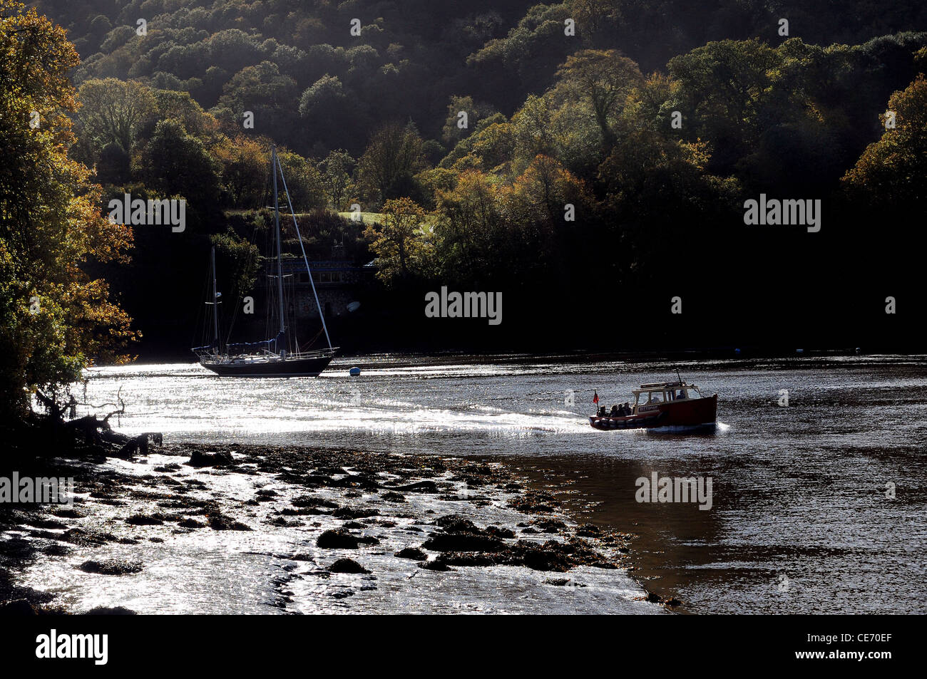 River Dart ferry,boat,jetty,silt,copse, coast, devon, england, fish ...