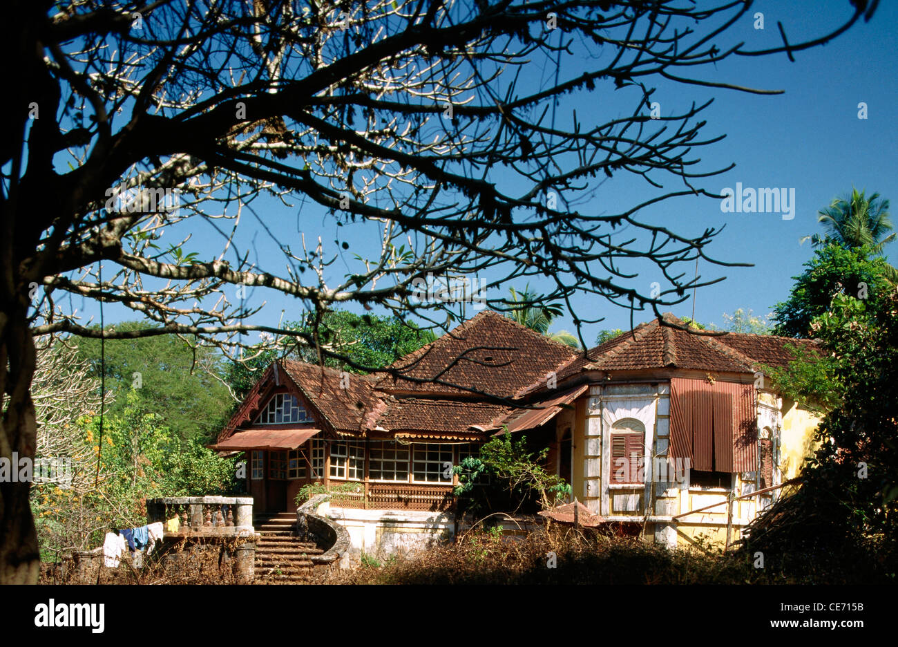 AAD 82495 : Indian old house tile roof tree panjim goa india Stock ...