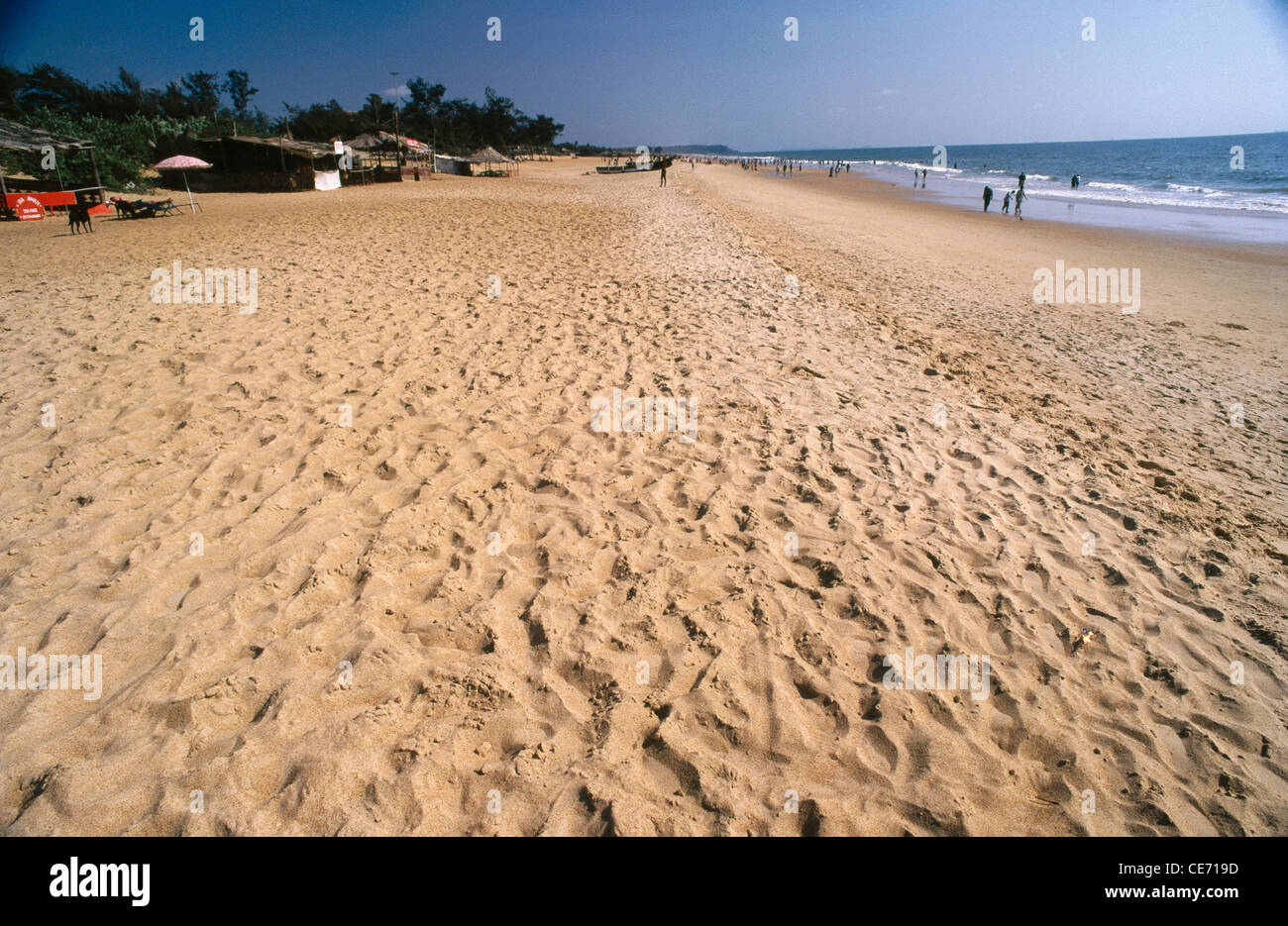 Golden sands beach blue sea blue sky ; goa ; india Stock Photo - Alamy