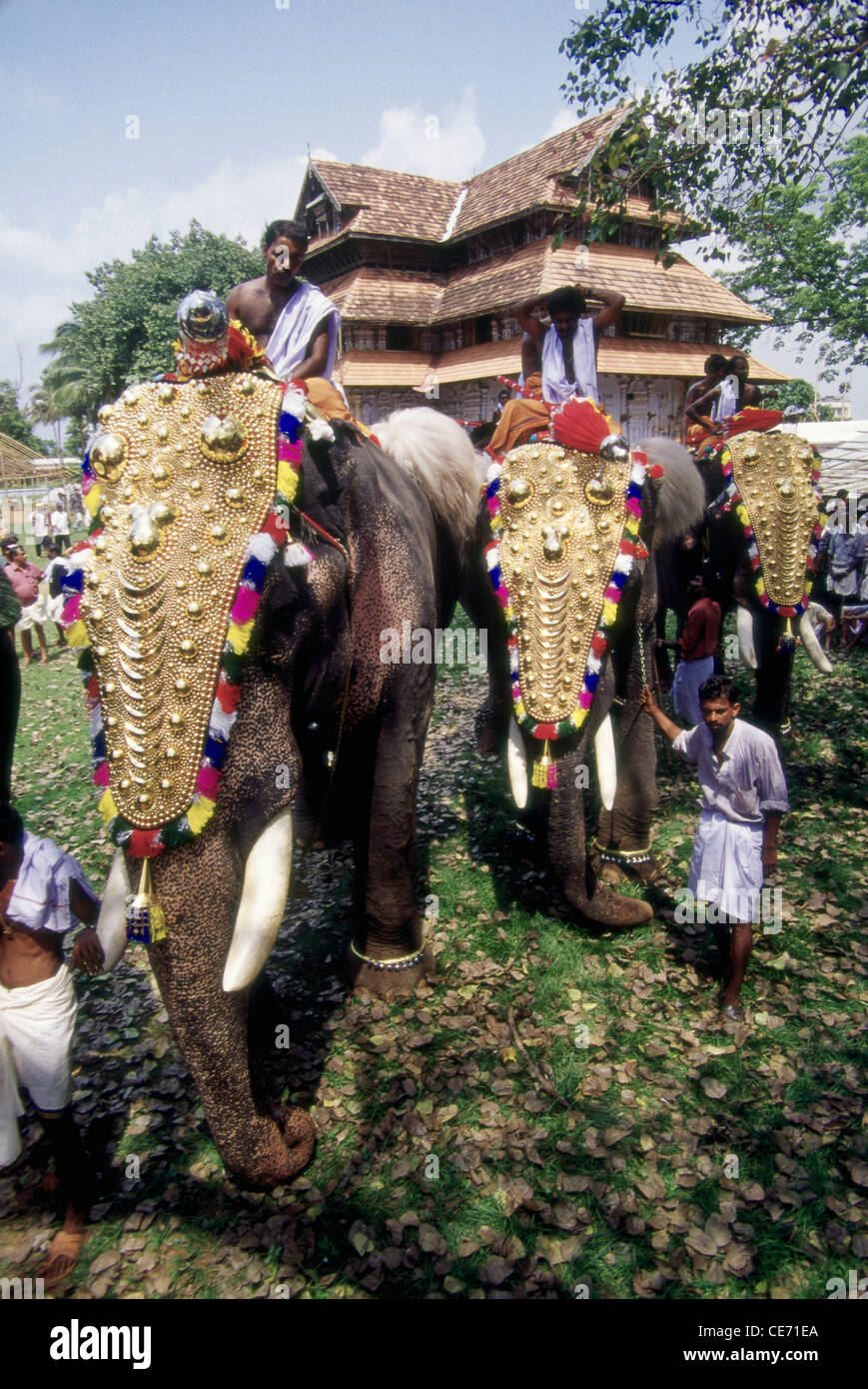 Trichurpooram Pooram Festival High Resolution Stock Photography and ...
