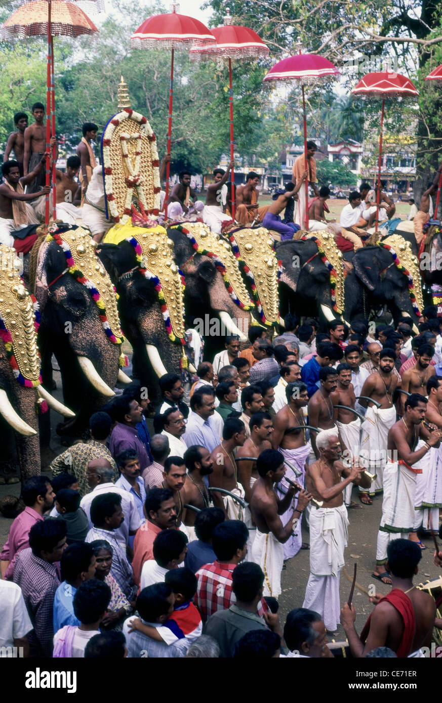HMA 81667 : Trichur pooram puram Elephant Festival Kerala india Stock ...