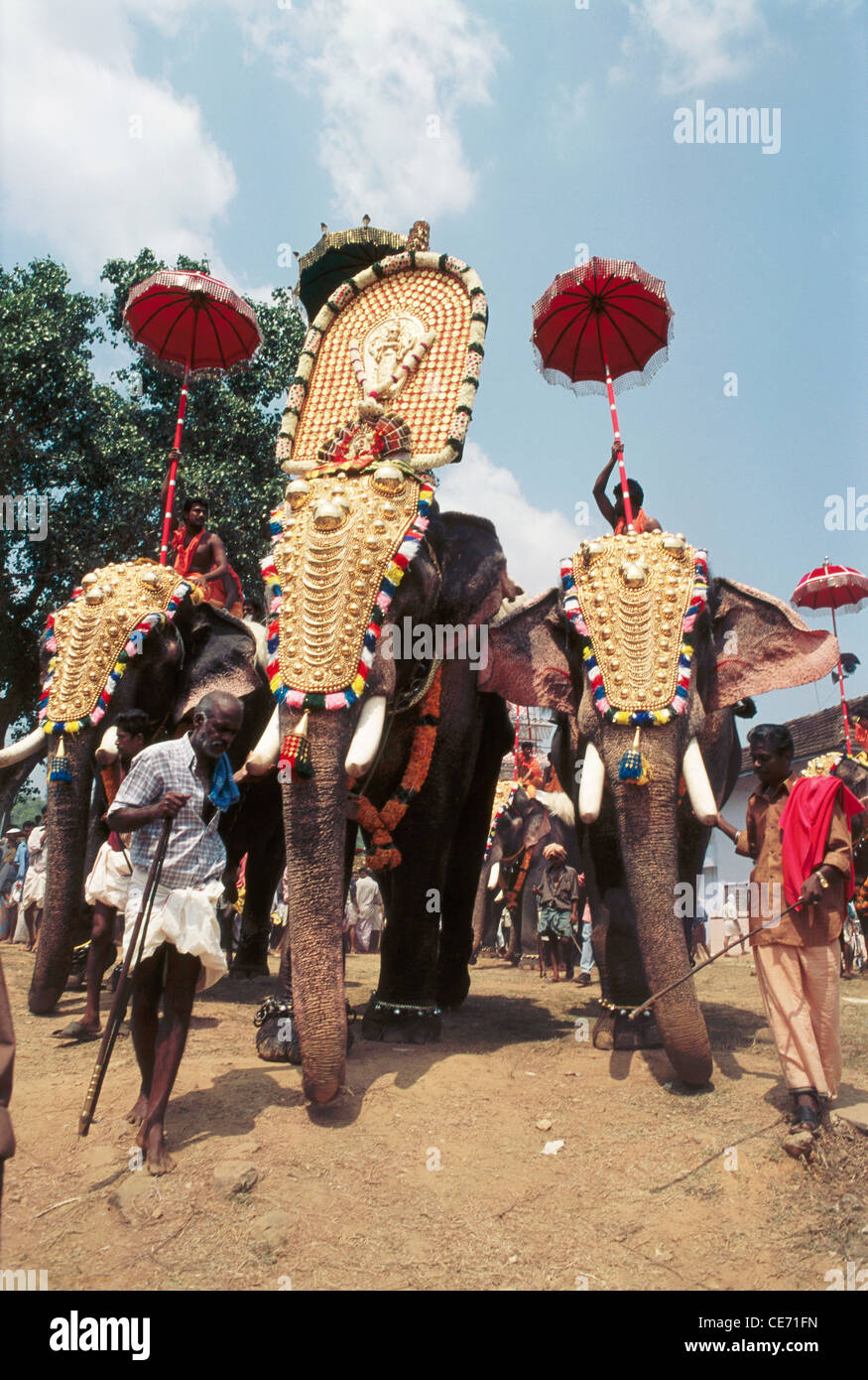 Uthralikavu pooram hi-res stock photography and images - Alamy