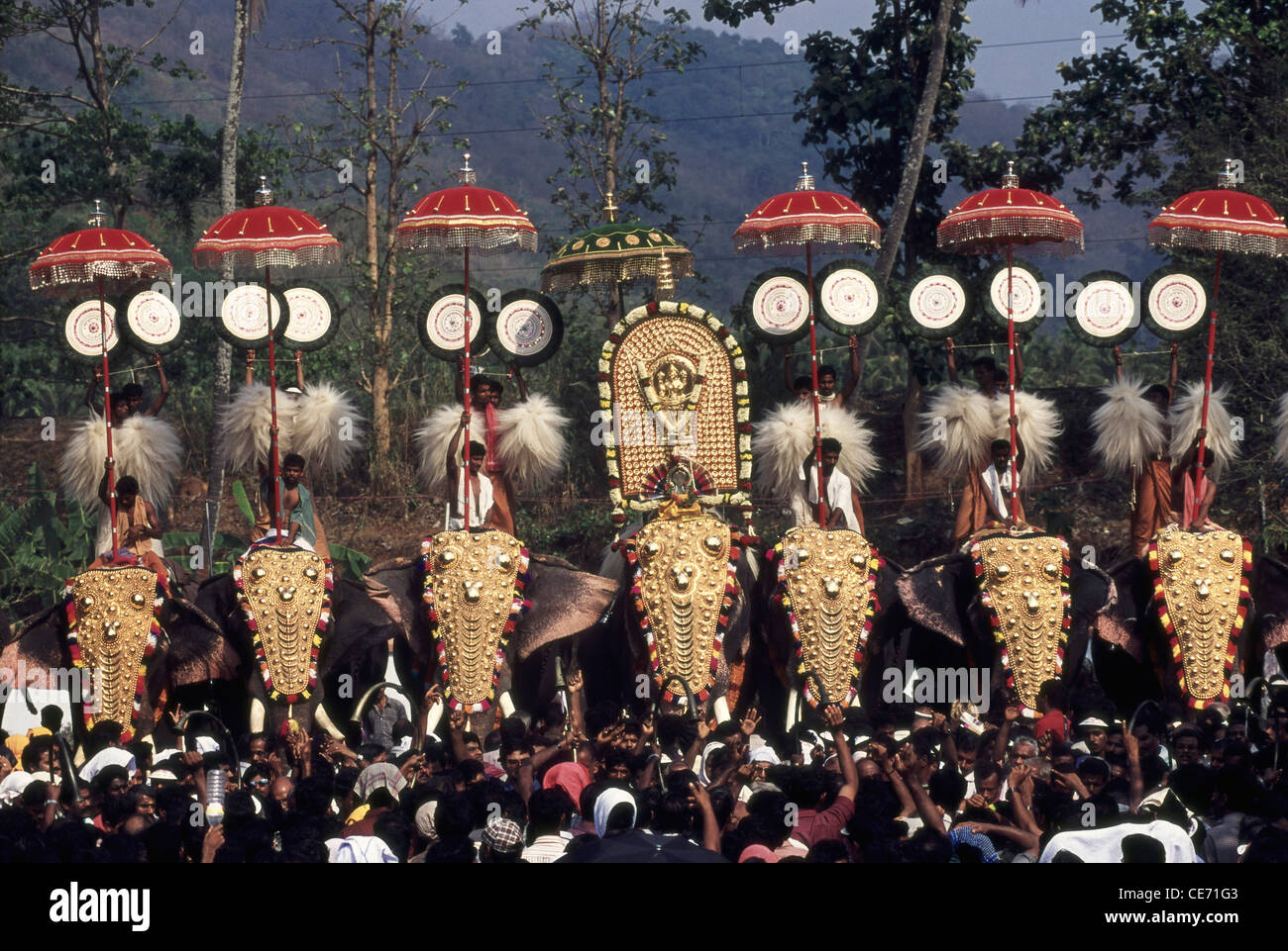Trichur Uthralikavu Pooram 7 seven Elephants procession temple Festival ...