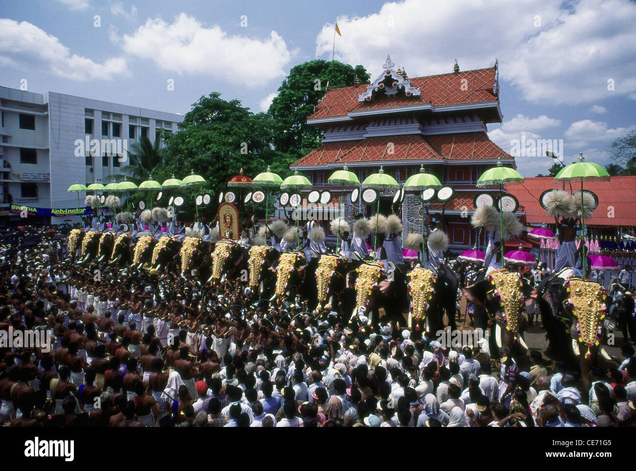 Trichur pooram spectators line of Elephants before procession at ...