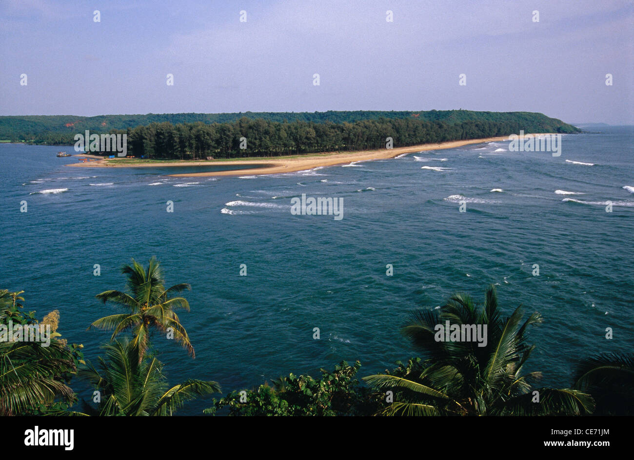MBT 82468 : goan blue water sea green palm trees sky sun beach at kerry ...