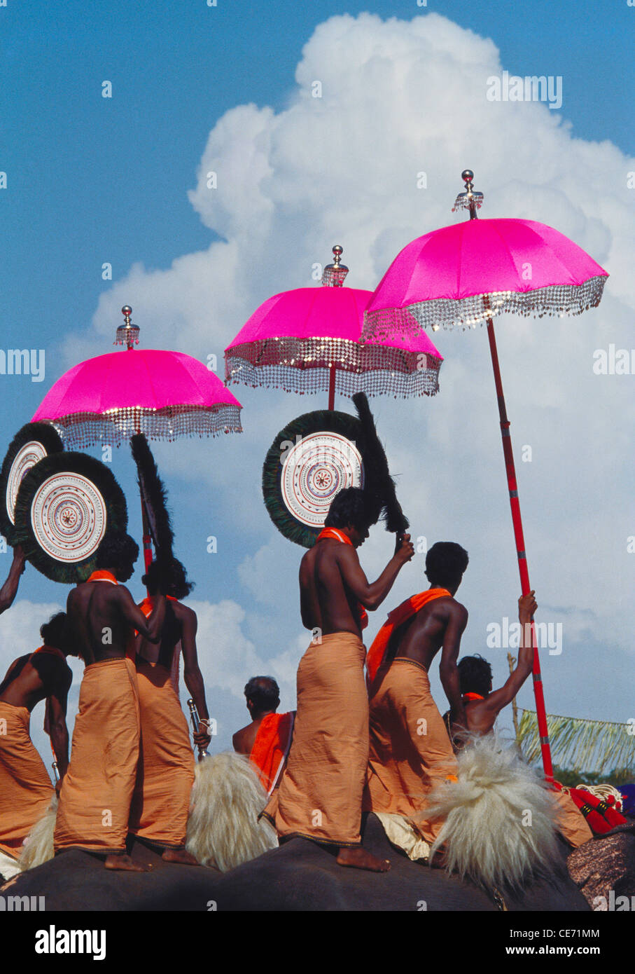PRM 81673 : indian men saffron clothes pink umbrellas standing on ...